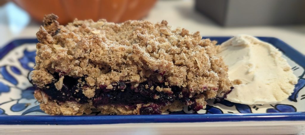Rye Blueberry Bars - Lisa and Frances Cook Rye Blueberry Bars